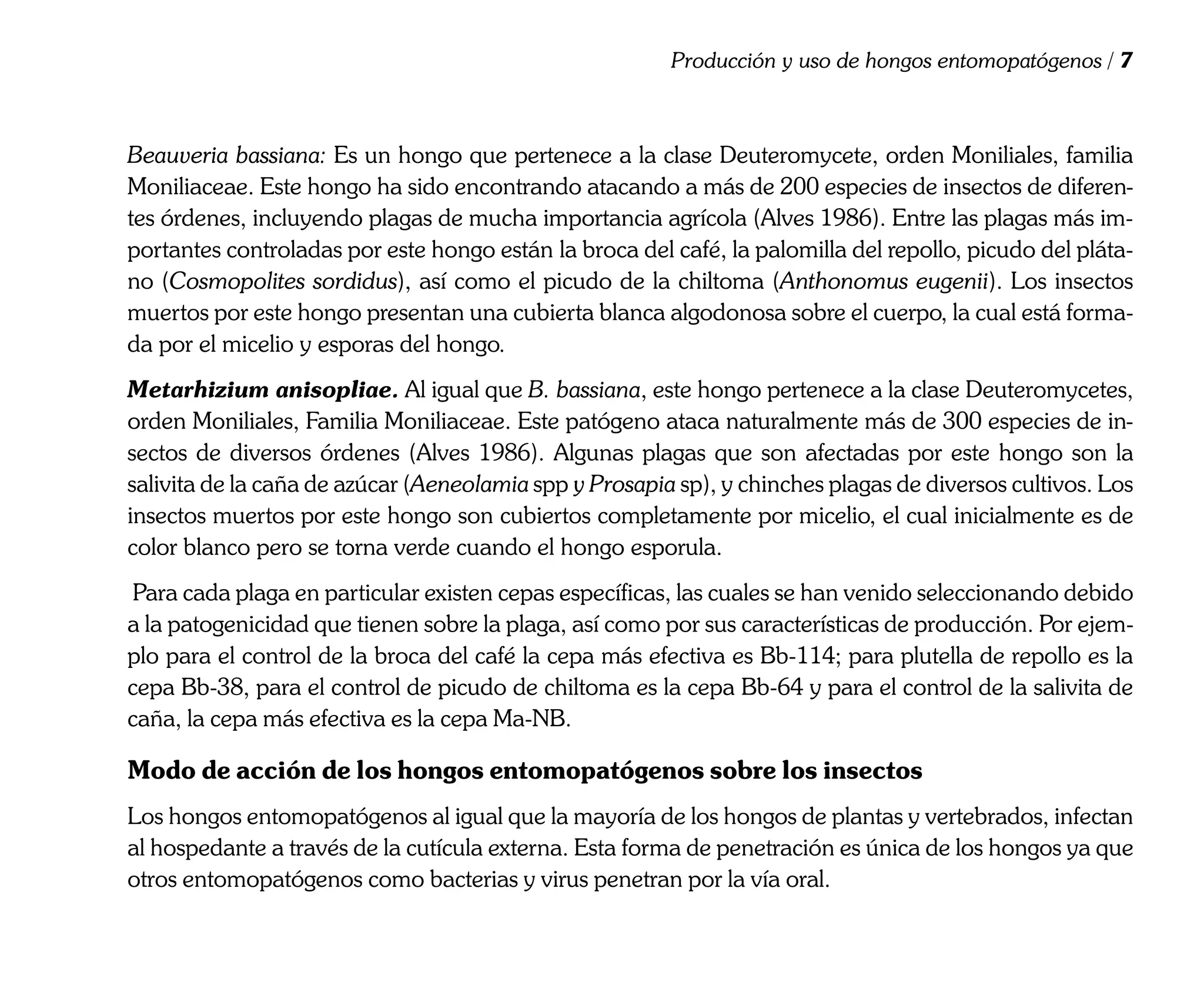 Produccion, uso efectivo de hongos para beneficio agrícola | PDF