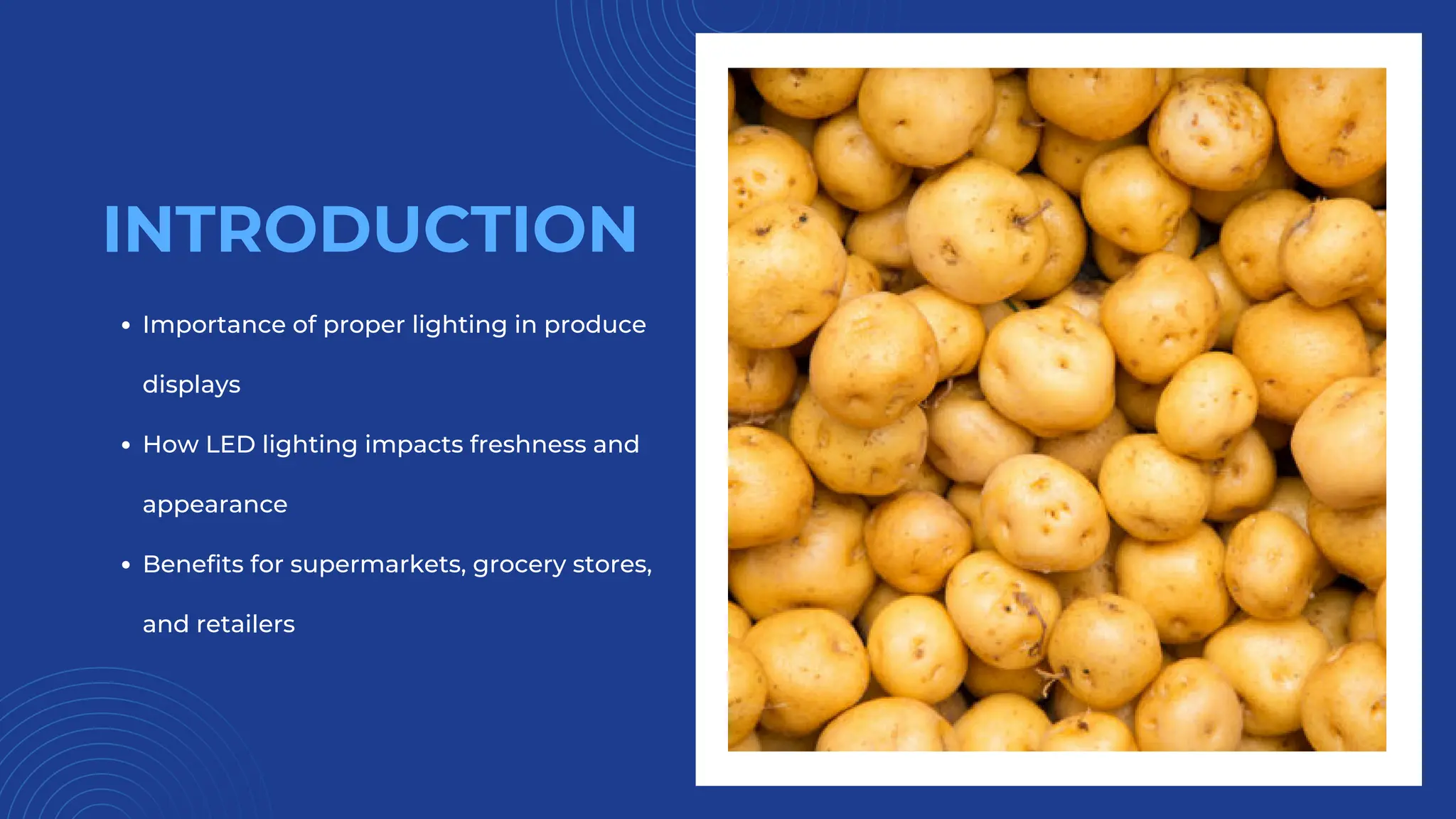 Produce Case LED Lighting by Promolux. PDF | PPT
