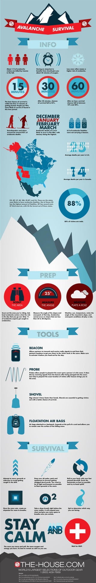 Avalanche Survival Infographic | PDF