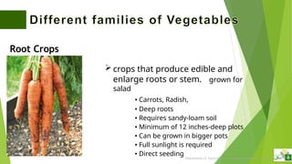 PRODUCE ORGANIC VEGETABLES TECHNOLOGIES. | PPTX