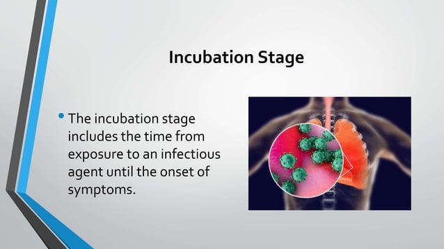 Produce output data using computer system.pptx | Infectious Diseases | Diseases and Conditions