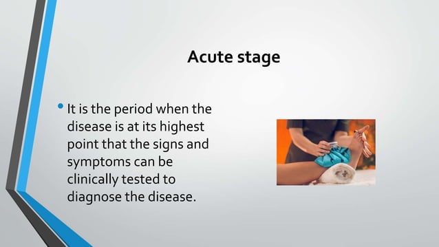Produce output data using computer system.pptx | Infectious Diseases | Diseases and Conditions
