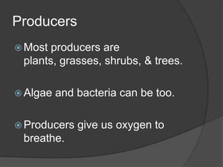 Producers | PPTX | Biological Sciences | Science