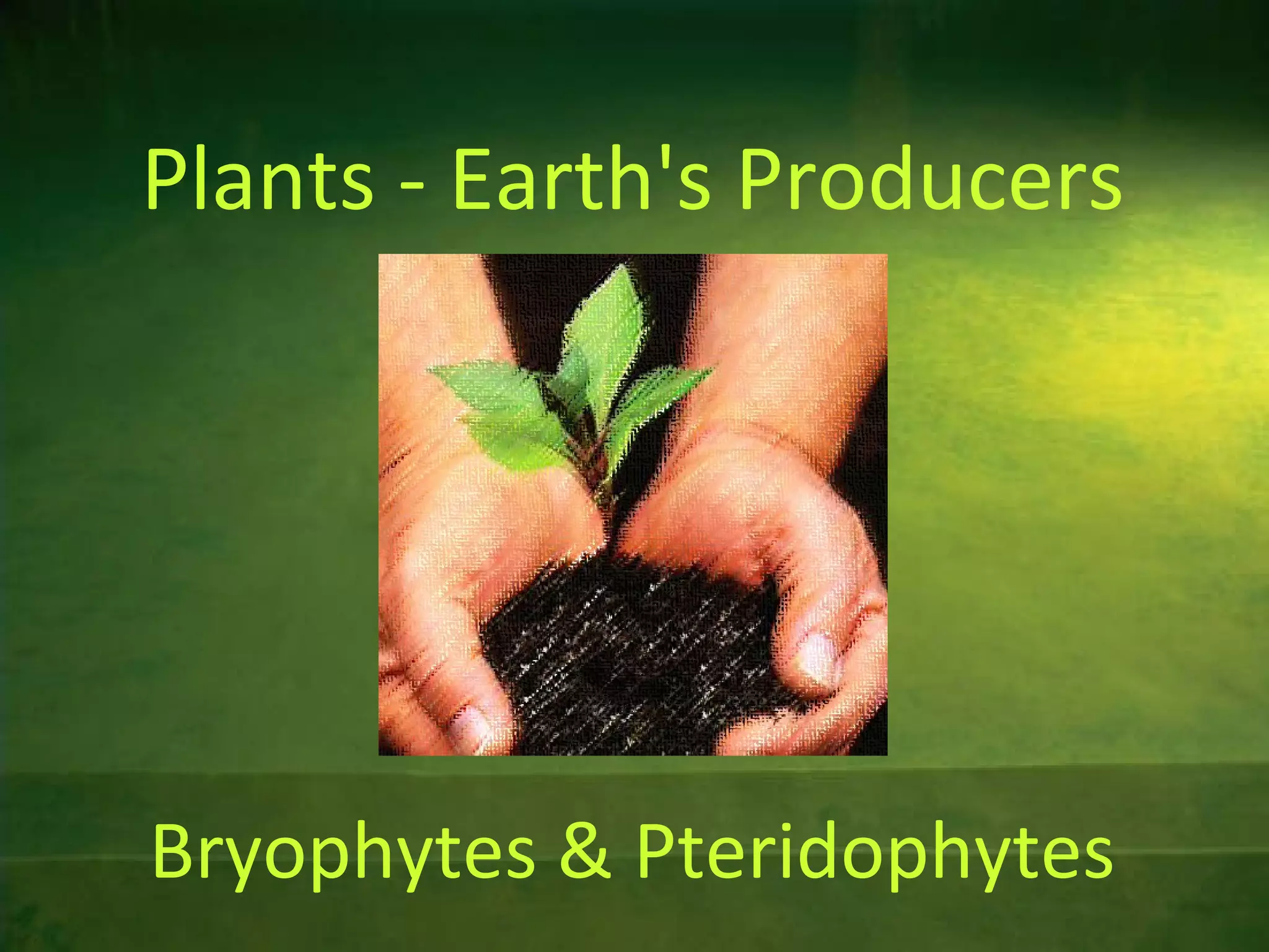 Producers I | PPT