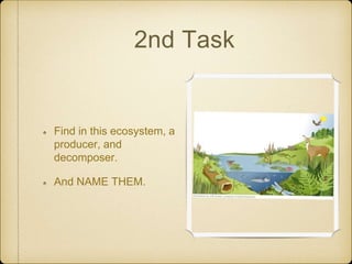 Producers,consumersanddecomposer TASKS | PPT