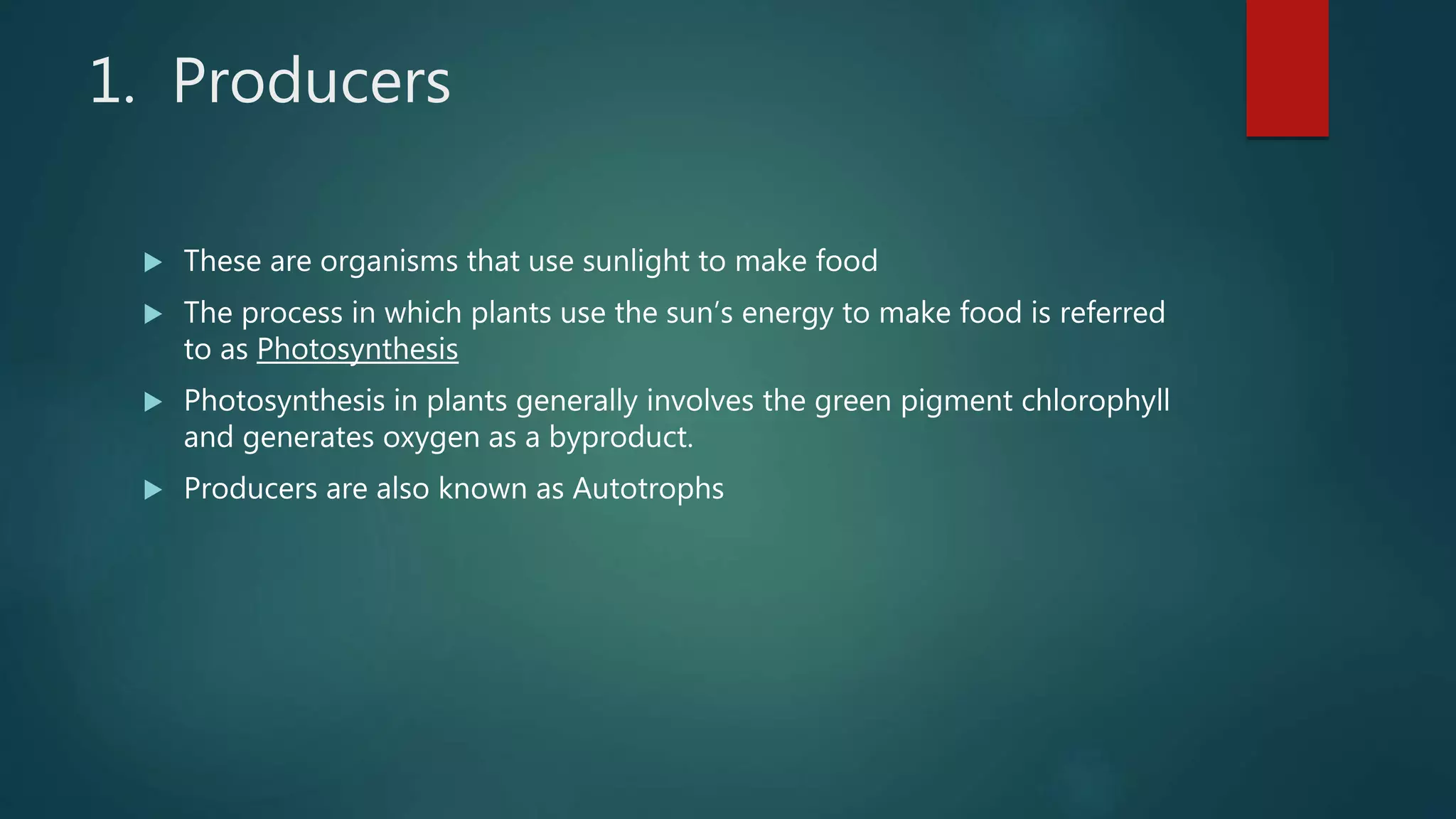 Producers Consumers and Decomposers | PPTX