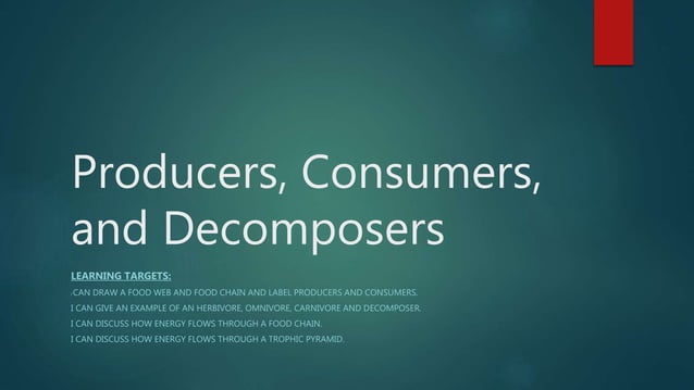 Producers Consumers and Decomposers | PPTX