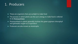 Producers Consumers and Decomposers | PPTX