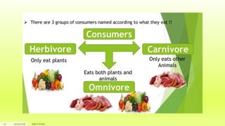 Producers,consumers and omnivores | PPTX