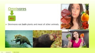 Producers,consumers and omnivores | PPTX