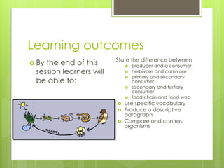 Producers consumers food chains food webs | PPTX