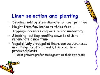 Nursery Plant Production Steps by Allah Dad Khan | PPT
