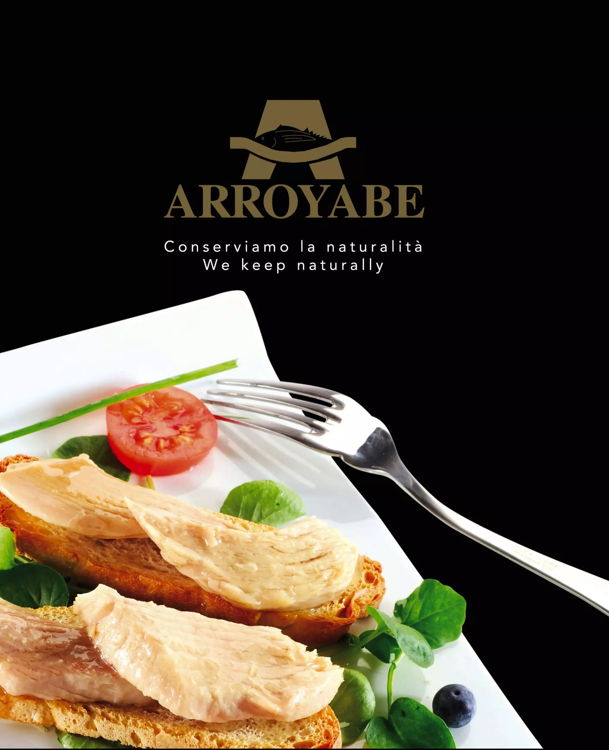 Product Catalog Arroyabe (english version) | PDF