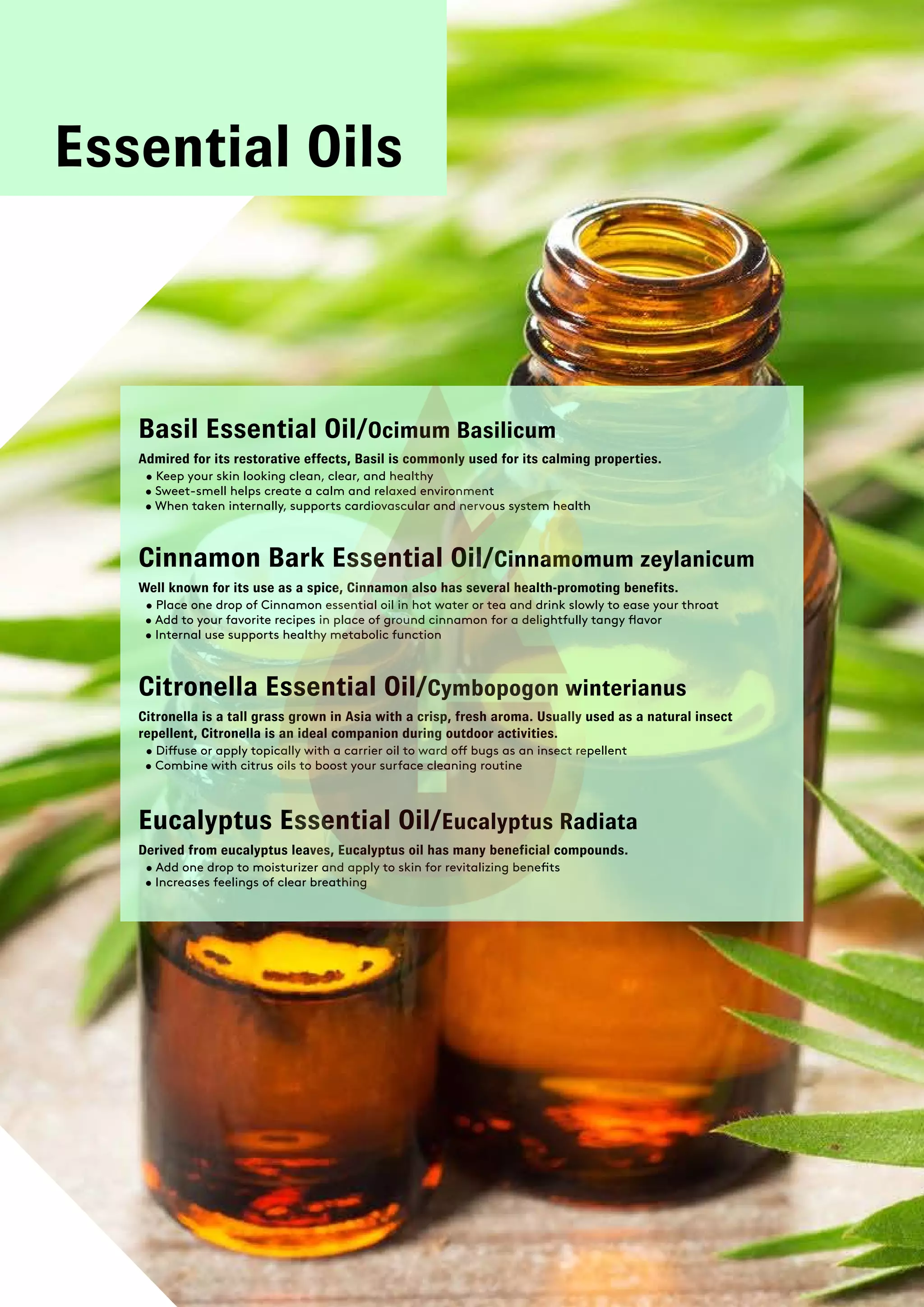 Natural Oil Product list Catalog | PDF