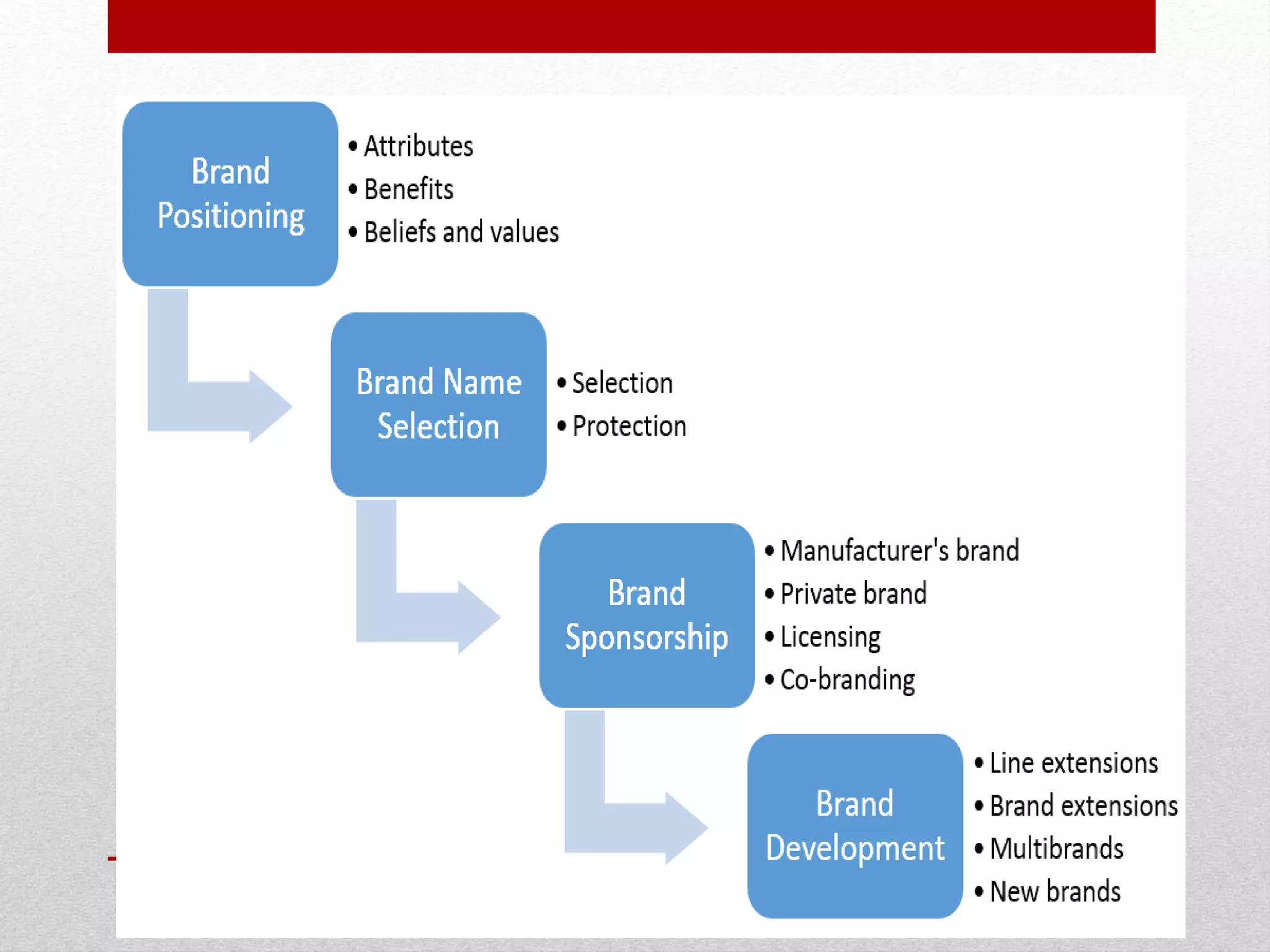 Product and Brand Management.ppt.pptx