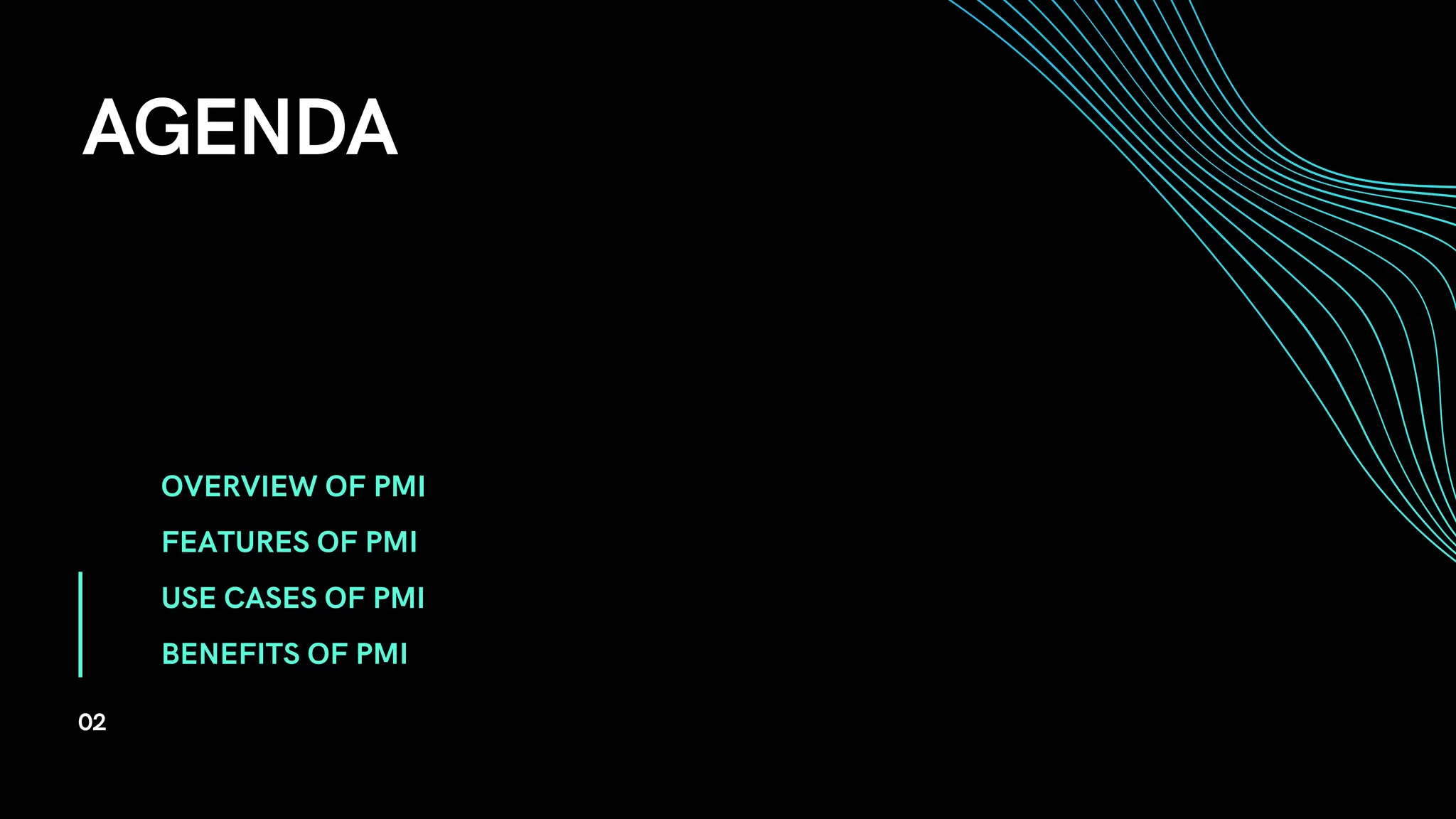 Product and Manufacturing Information PMI | PDF
