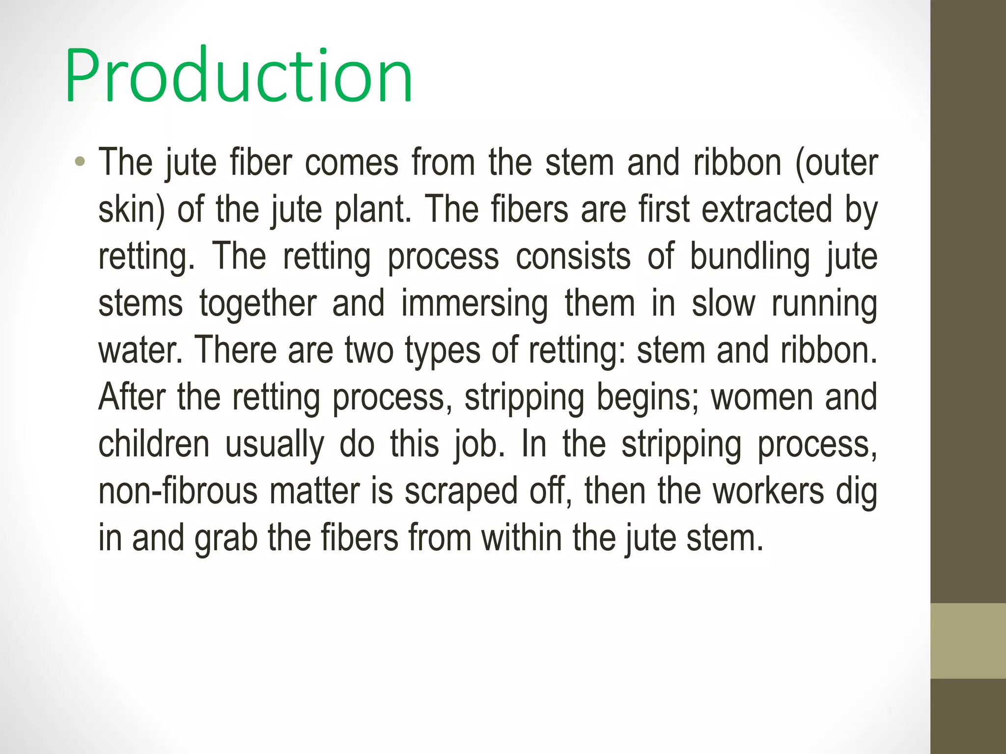 Product from jute | PPT