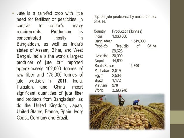 Product from jute | PPT