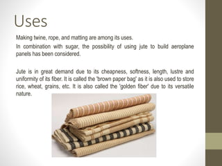 Product from jute | PPT