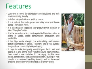 Product from jute | PPT