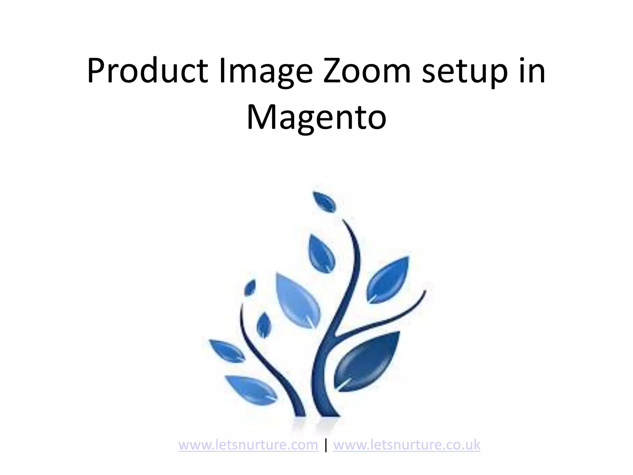 Product image zoom setup in Magento | PPT