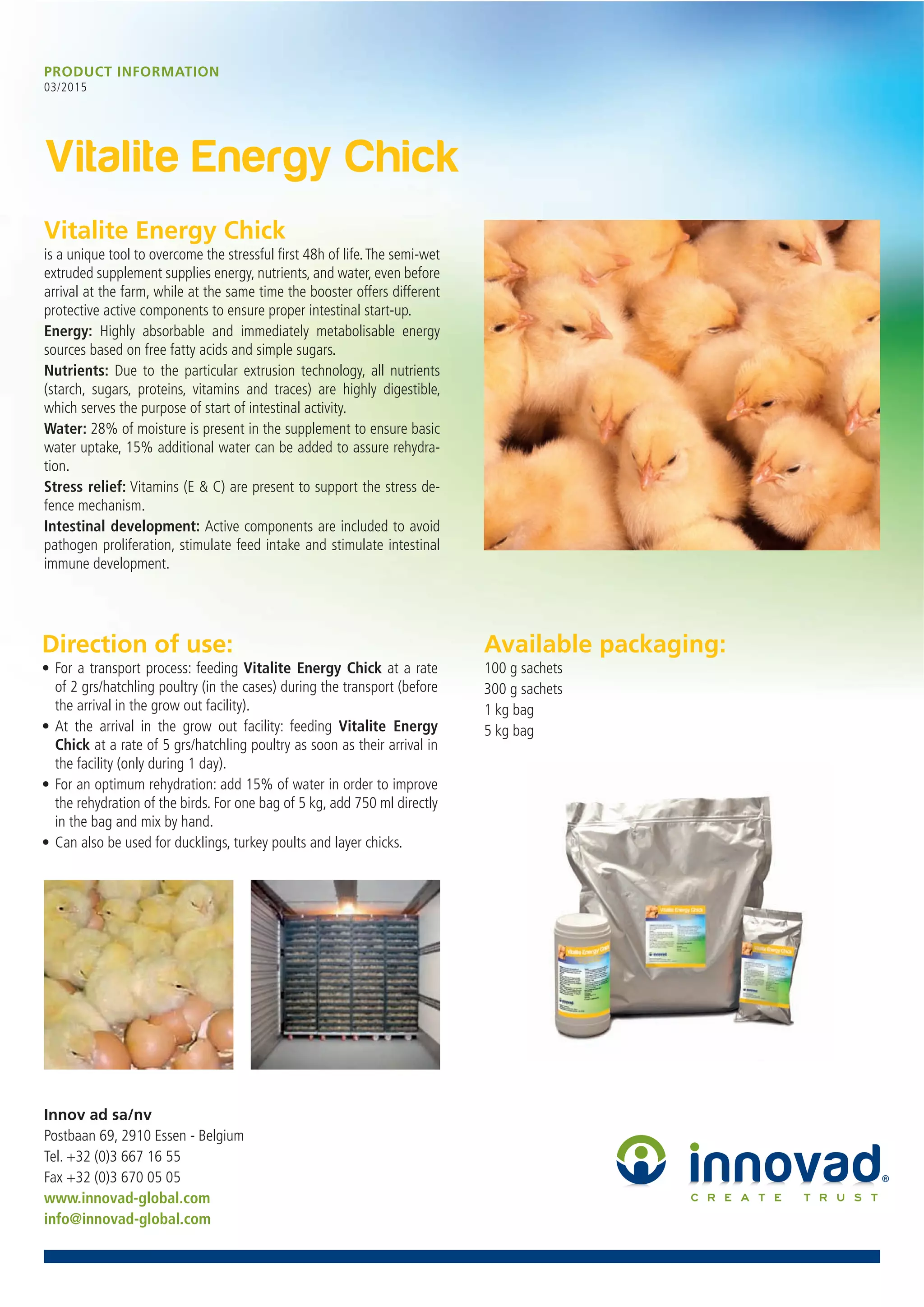 vitalite energy chick | PDF