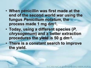 productin of penicillin.ppt