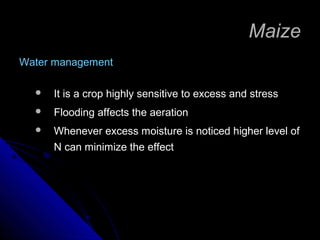 Productin technology of maize | PPT
