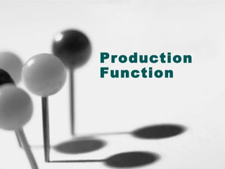 Production Function