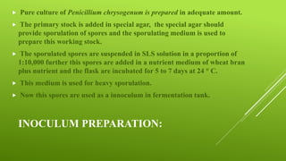 Fermentation process in process chemistry | PDF