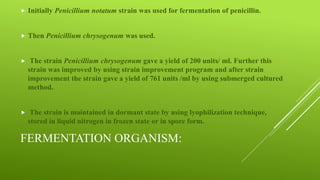 Fermentation process in process chemistry | PDF
