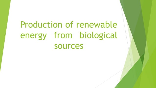Production of renewable energy from rice husk | PPT