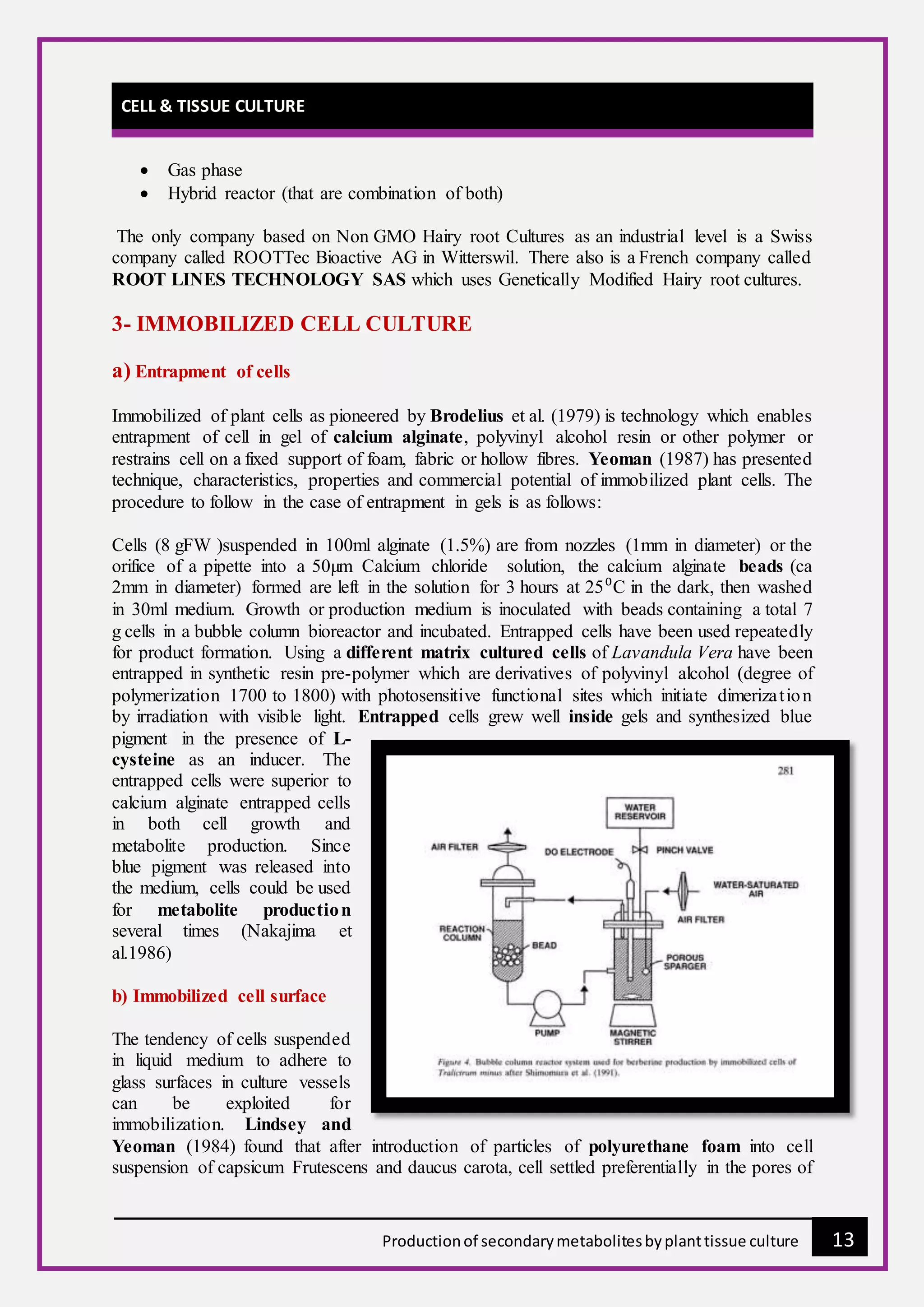 Production of-secondary-metabolites | DOCX