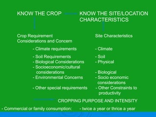PRODUCTION-PRACTICES-FOR-ANNUAL-CROPS.pptx