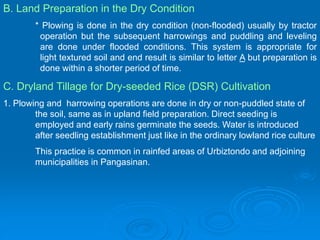 PRODUCTION-PRACTICES-FOR-ANNUAL-CROPS.pptx