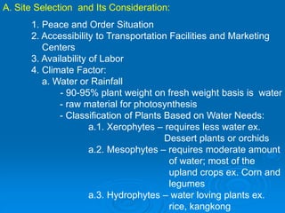 PRODUCTION-PRACTICES-FOR-ANNUAL-CROPS.pptx