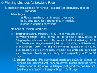 PRODUCTION-PRACTICES-FOR-ANNUAL-CROPS.pptx