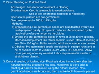 PRODUCTION-PRACTICES-FOR-ANNUAL-CROPS.pptx