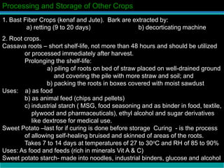 PRODUCTION-PRACTICES-FOR-ANNUAL-CROPS.pptx