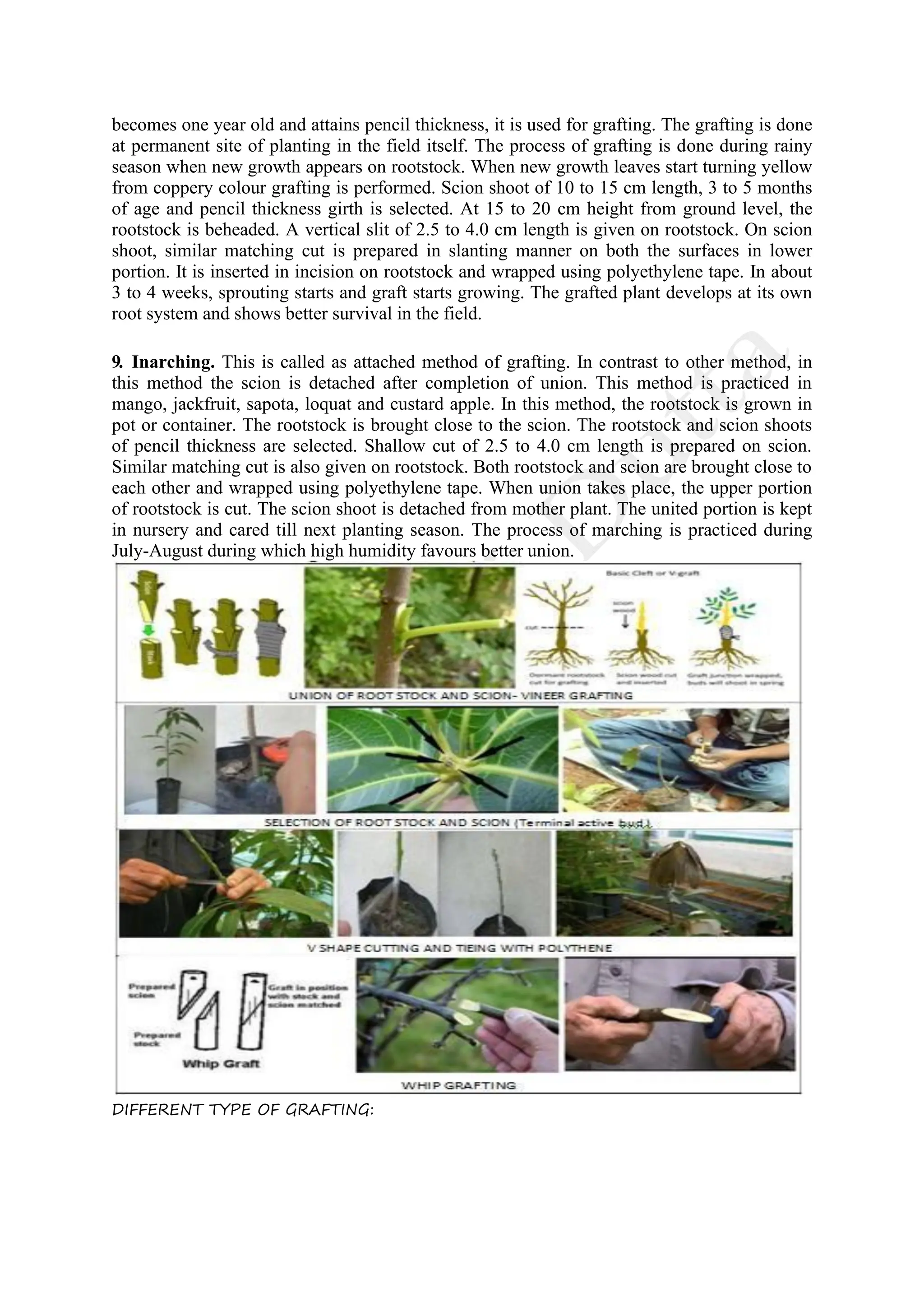 production-technology-of-fruits-and-plantation-crops.pdf