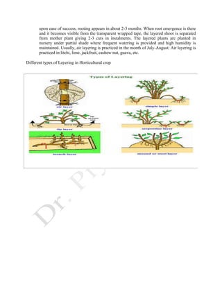 production-technology-of-fruits-and-plantation-crops.pdf