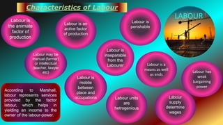 PRODUCTION ANALYSIS 1.pptx