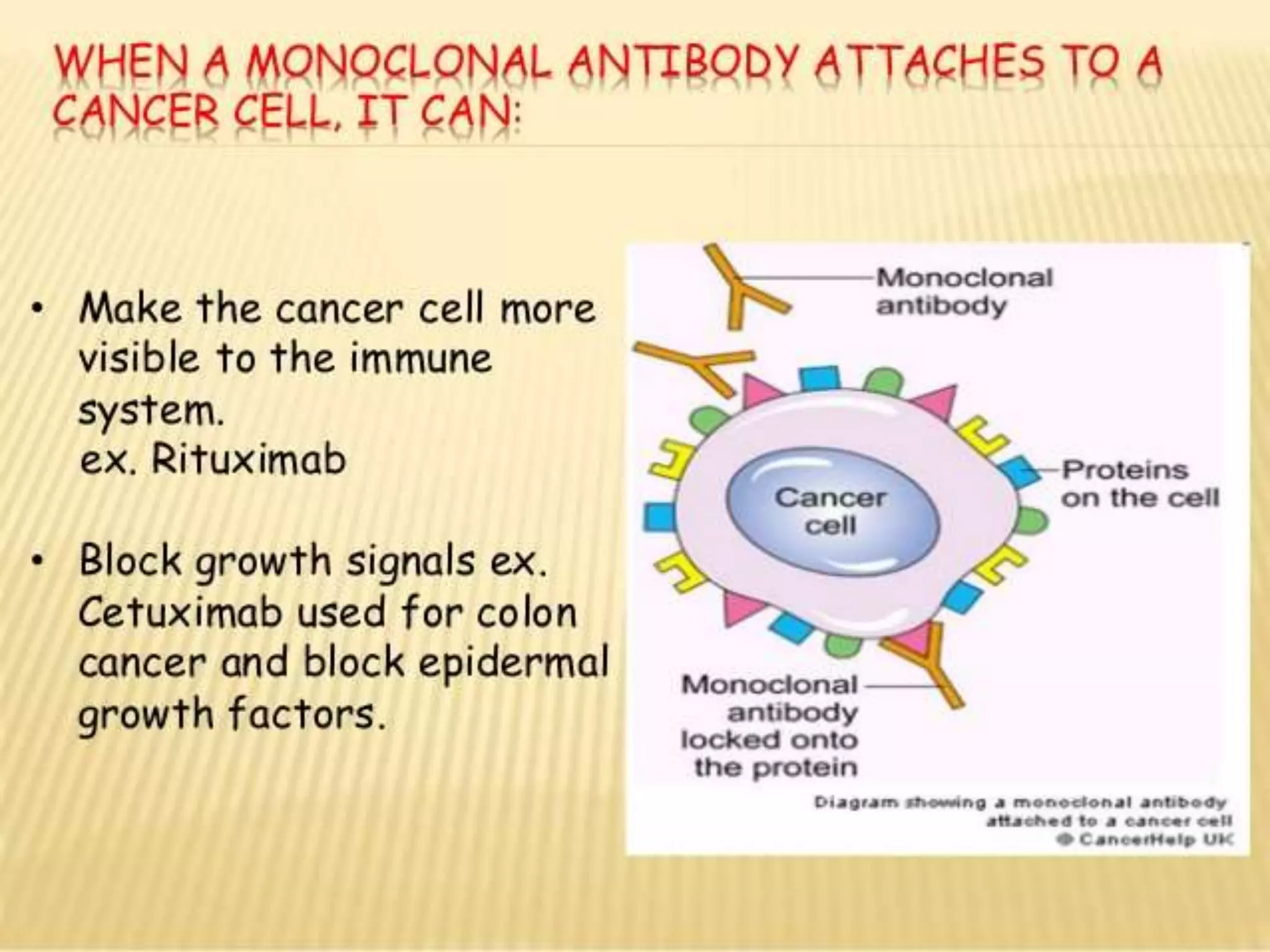 Production and applications of monoclonal antibodies | PPTX