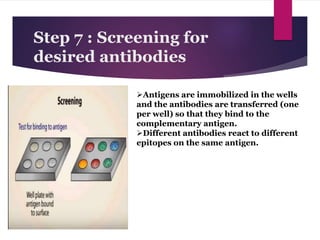 Production and applications of monoclonal antibodies | PPTX