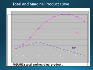 production and cost for RVU.pptx