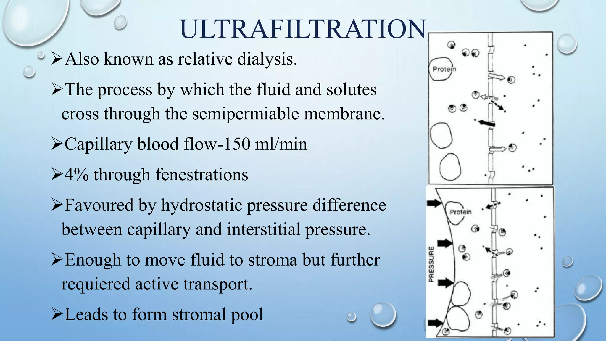 Production and flow of aqueous humor | PPTX