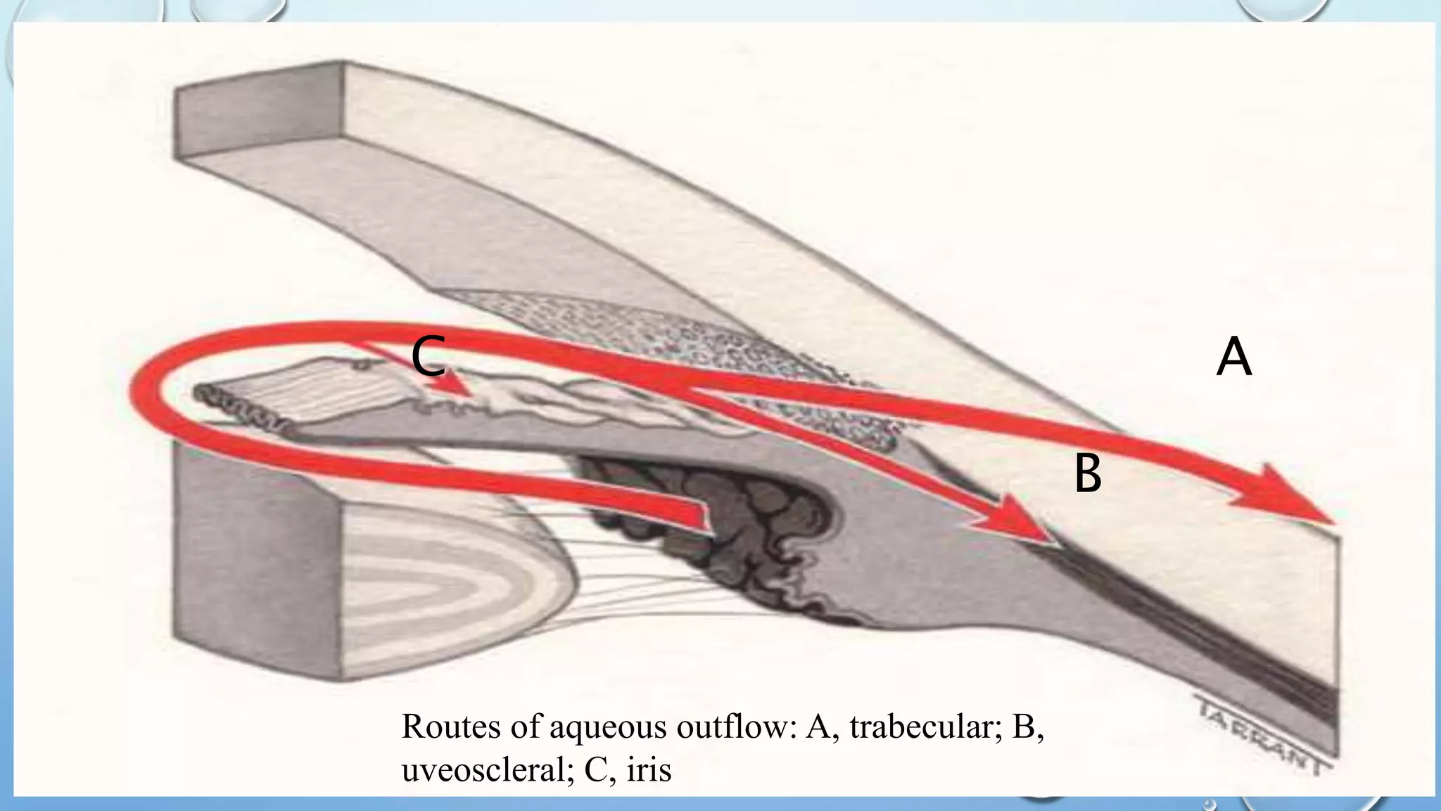 Production and flow of aqueous humor | PPTX