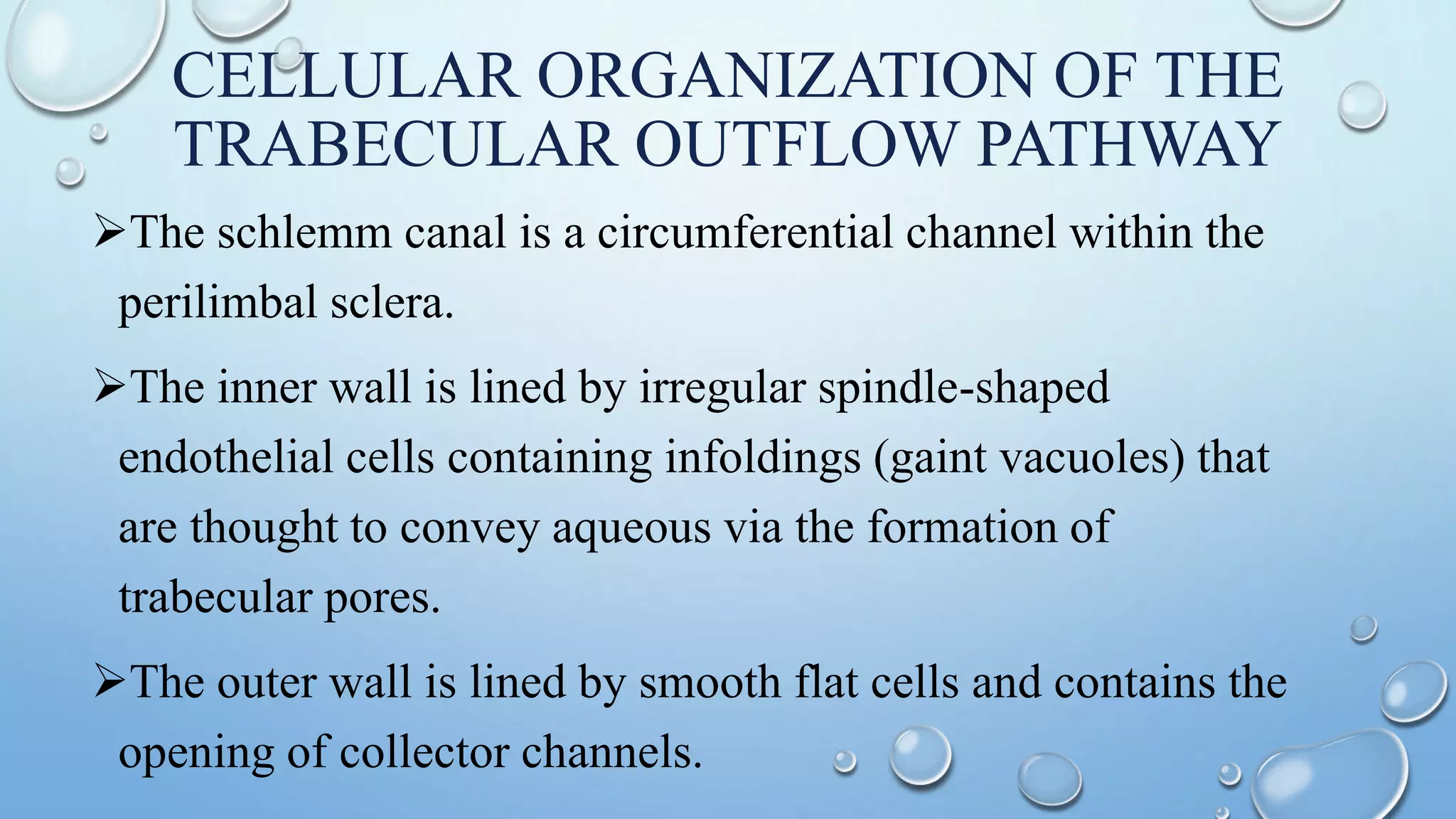 Production and flow of aqueous humor | PPTX