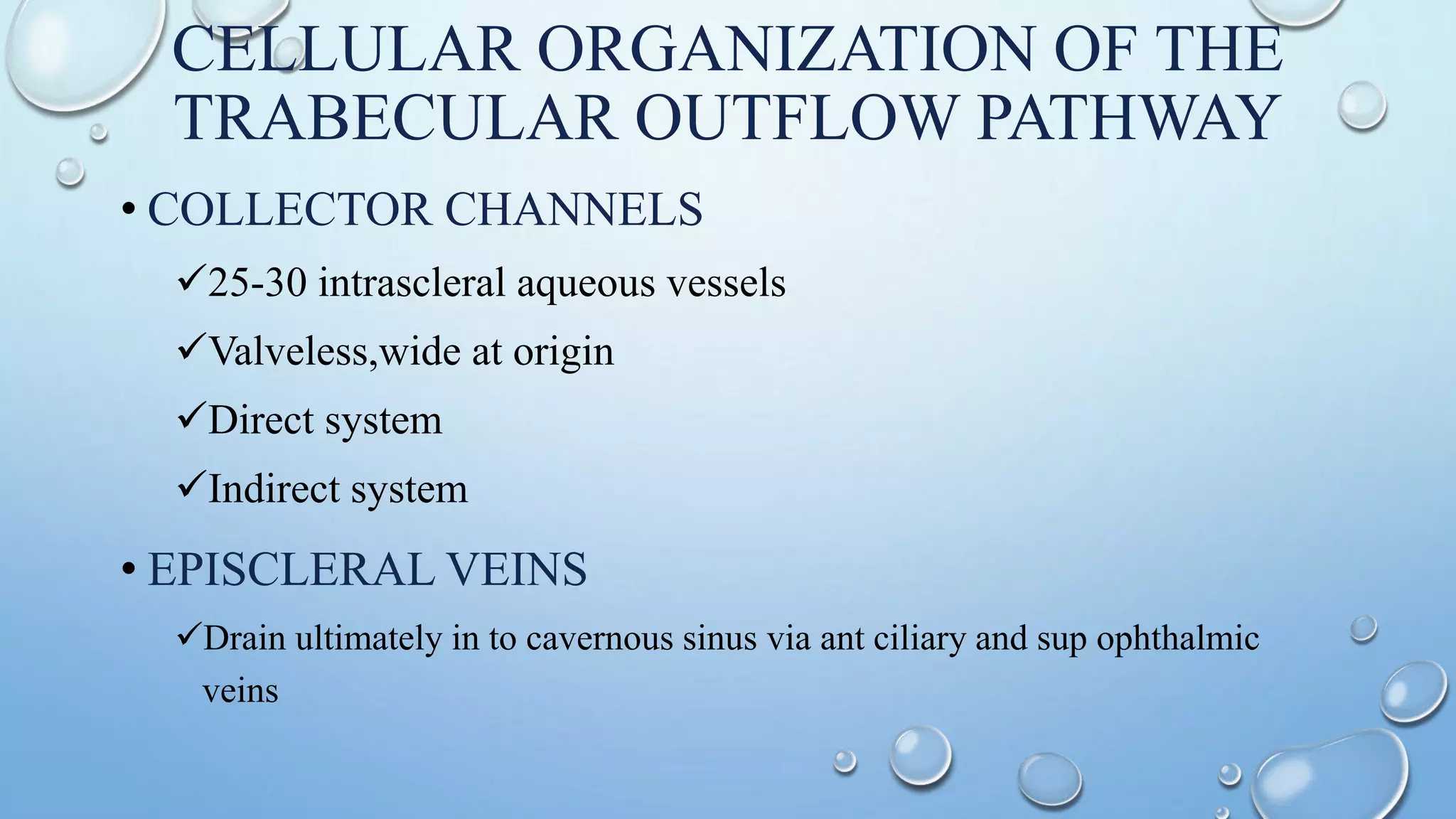 Production and flow of aqueous humor | PPTX