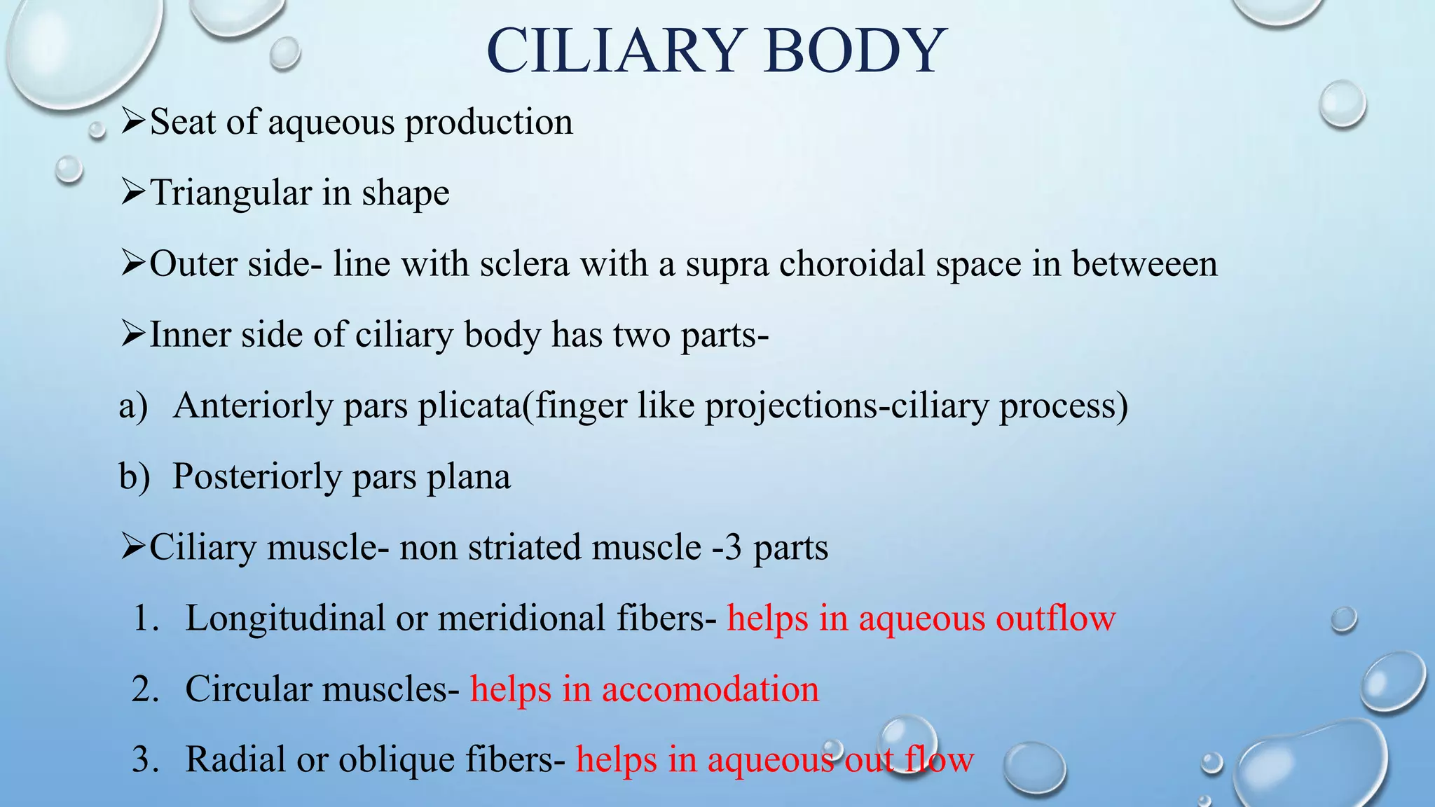 Production and flow of aqueous humor | PPTX